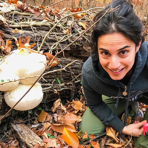 IDRS 50 for 50 Commissioning Project: Competition | International ...